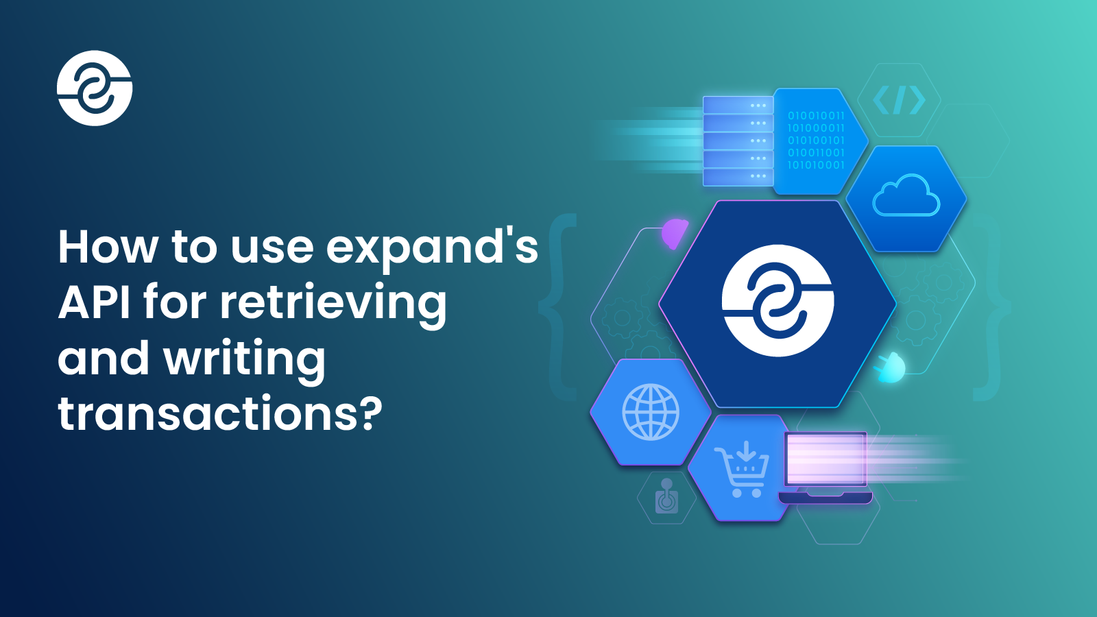 How to use expand API for retrieving and writing transactions?